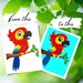 C2C Parrot Crochet Pattern – Digital PDF Blanket Design - Etsy