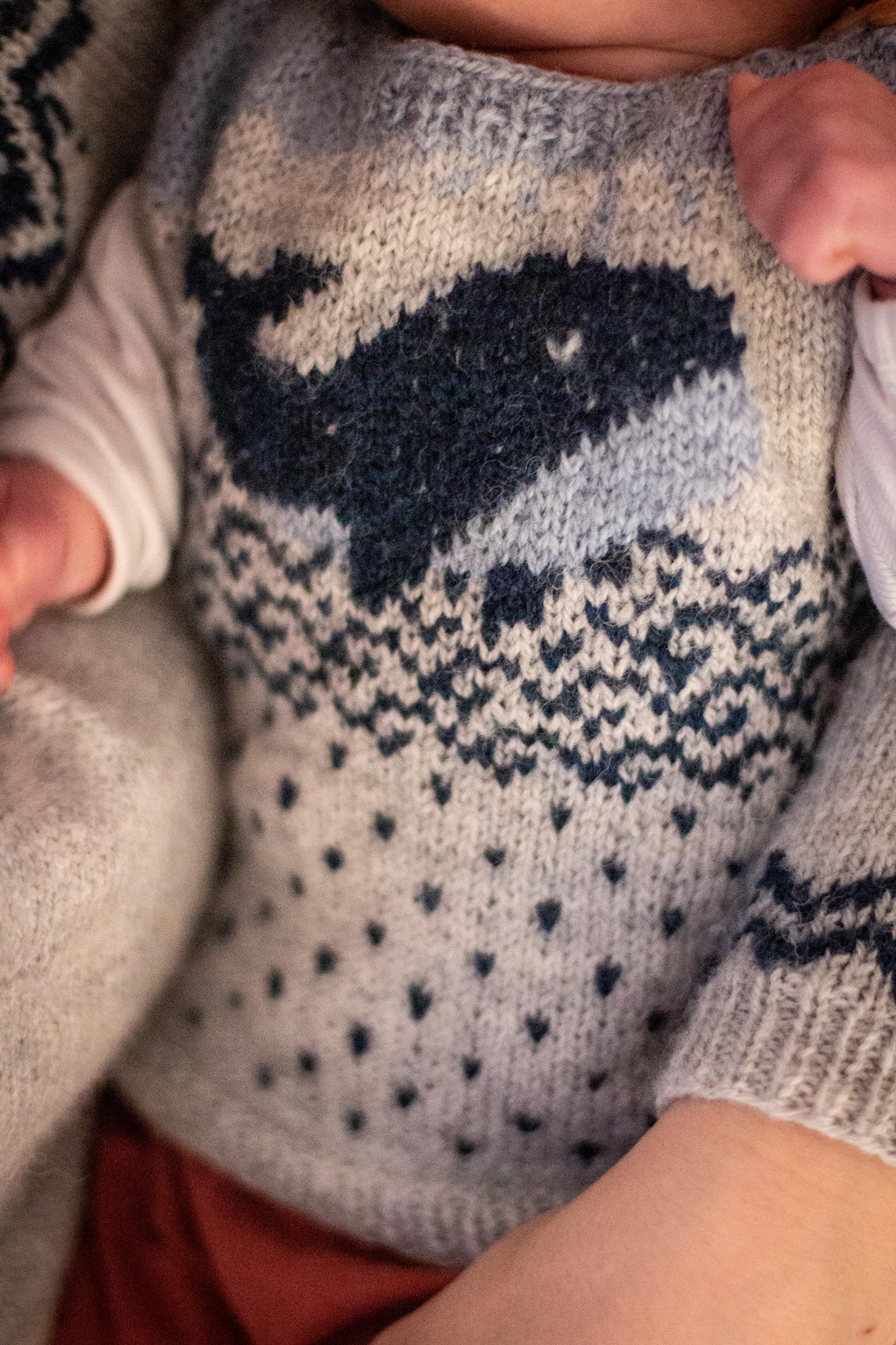 Whale Sweater Knitting Pattern, Sleeveless Kids Vest (digital Pattern ...