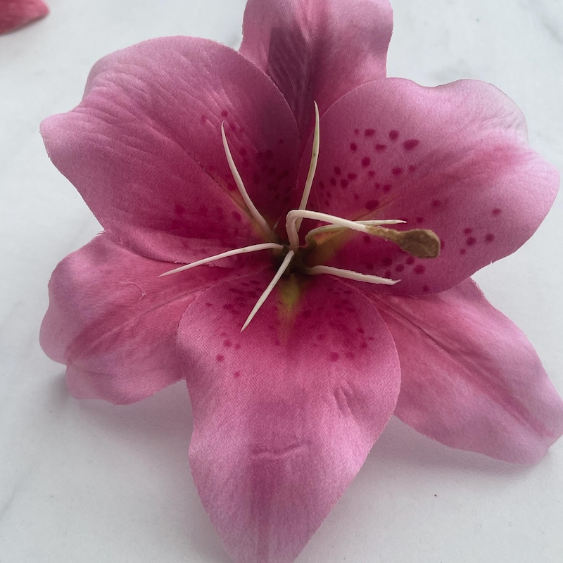 Lily Hair Clip - Etsy