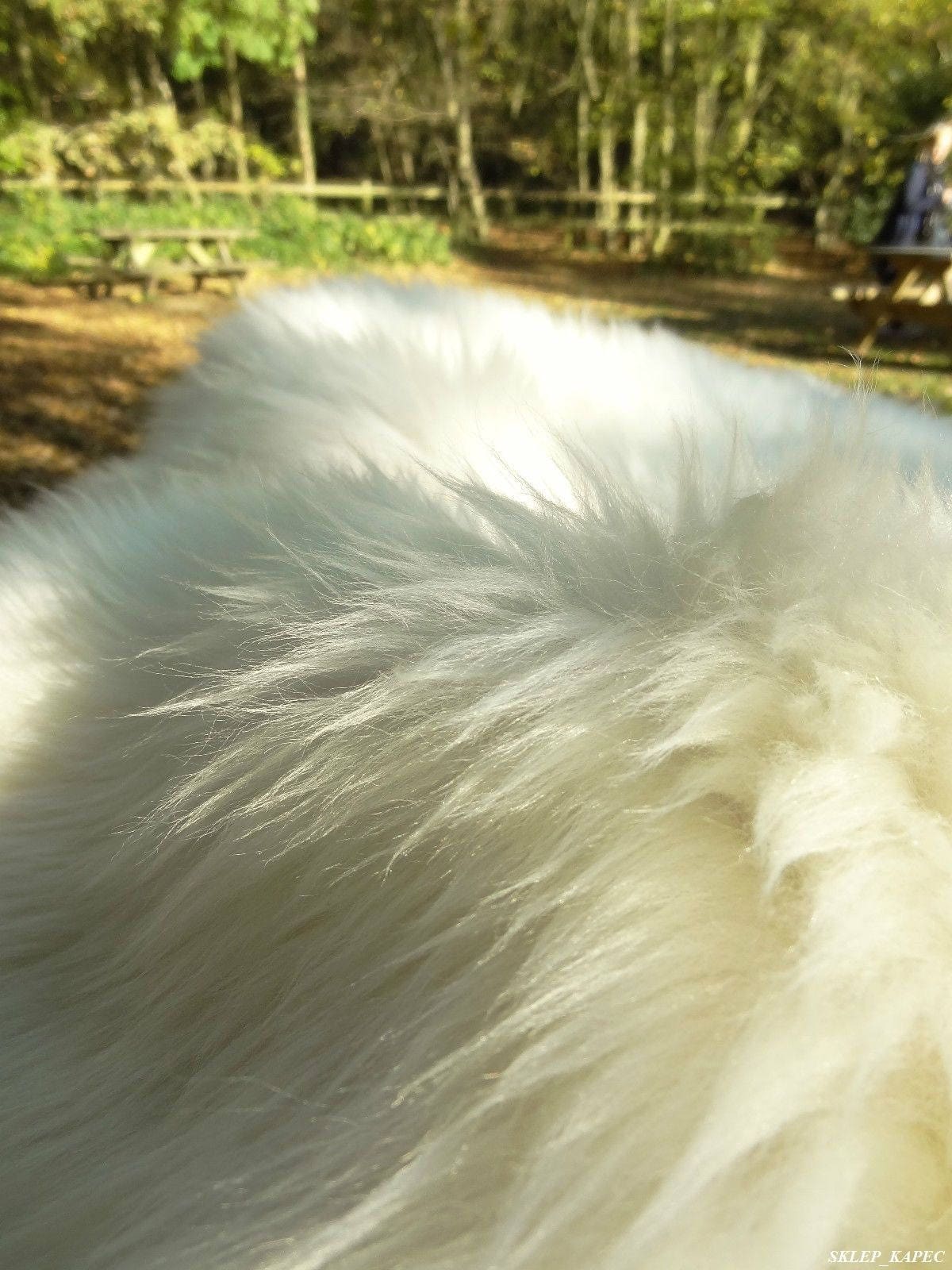 Large Sheepskin Rug Genuine Soft Thick Wool Sheepskin Pelt - Etsy