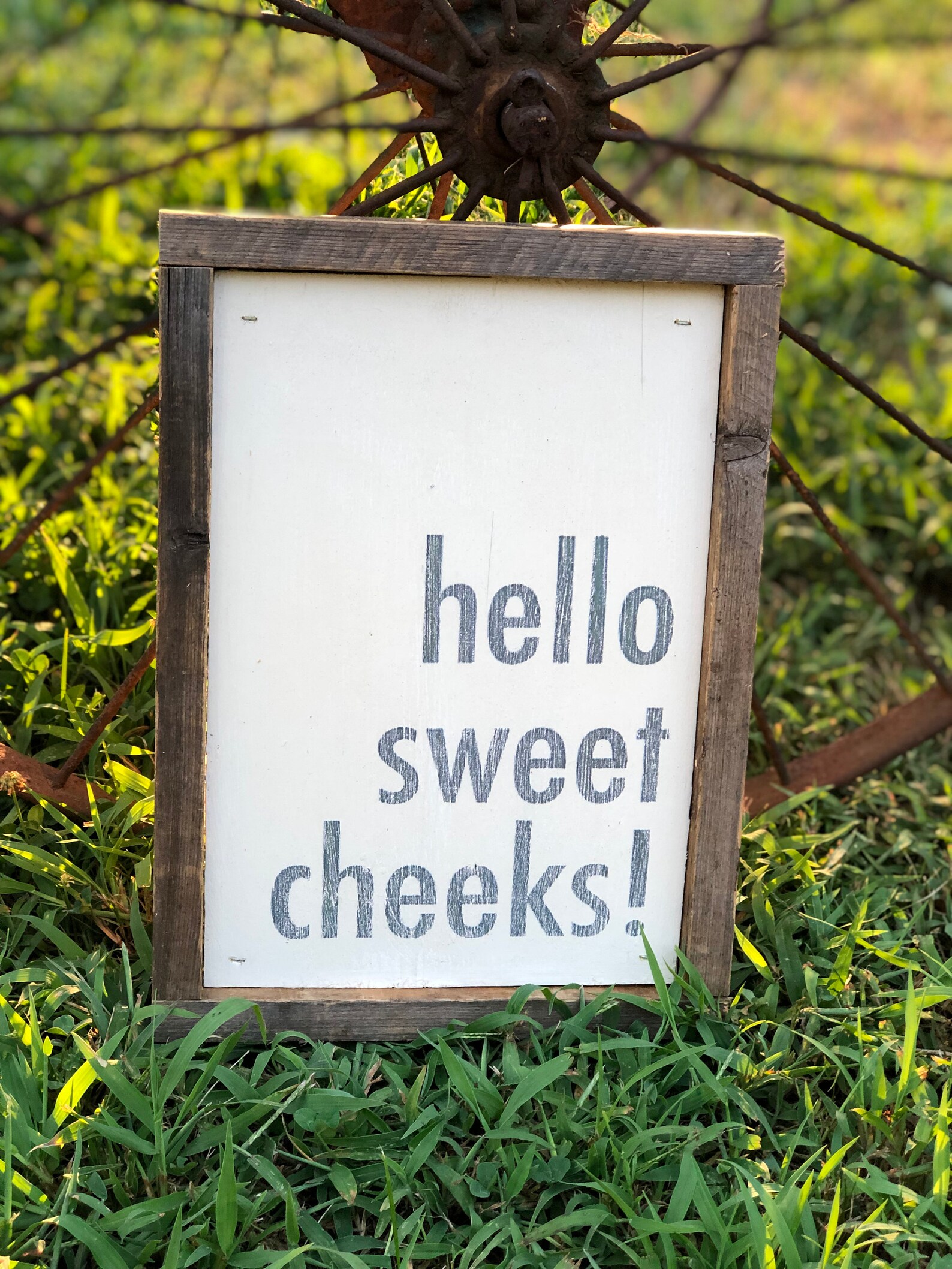 Hello Sweet Cheeks Sign Bathroom Home Decor farmhouse - Etsy UK
