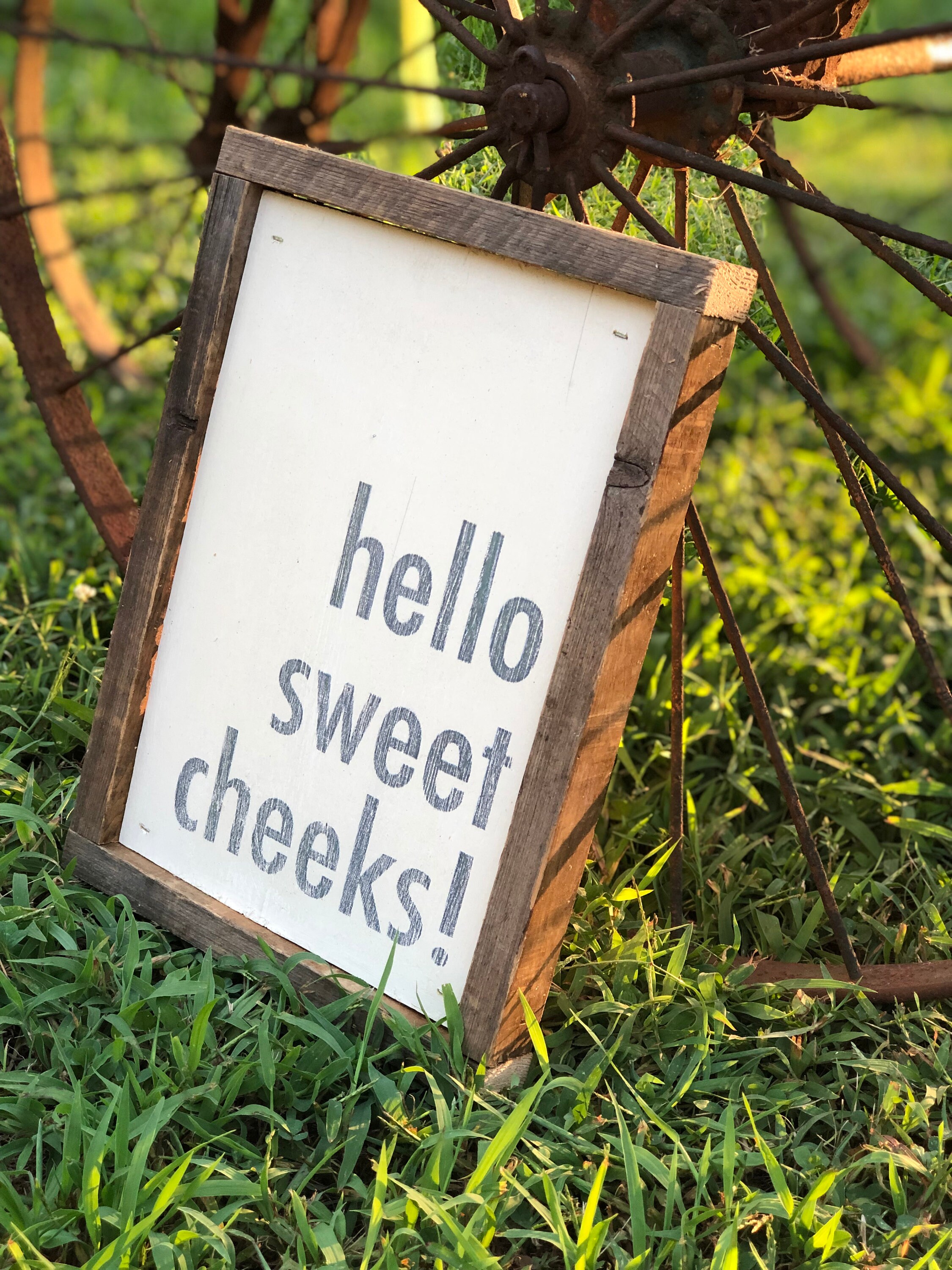Hello Sweet Cheeks Sign Bathroom Home Decor farmhouse - Etsy UK
