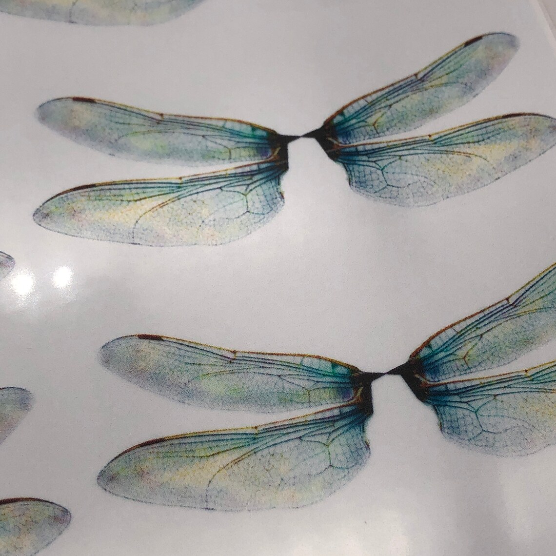 Felt and Dandy Original Dragonfly Brooch Kit - Etsy