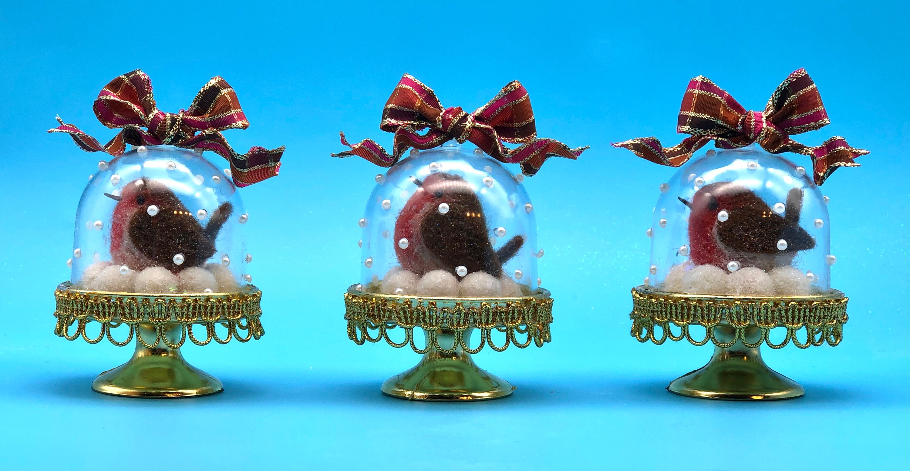Robins in Miniature Domes Kit - Etsy