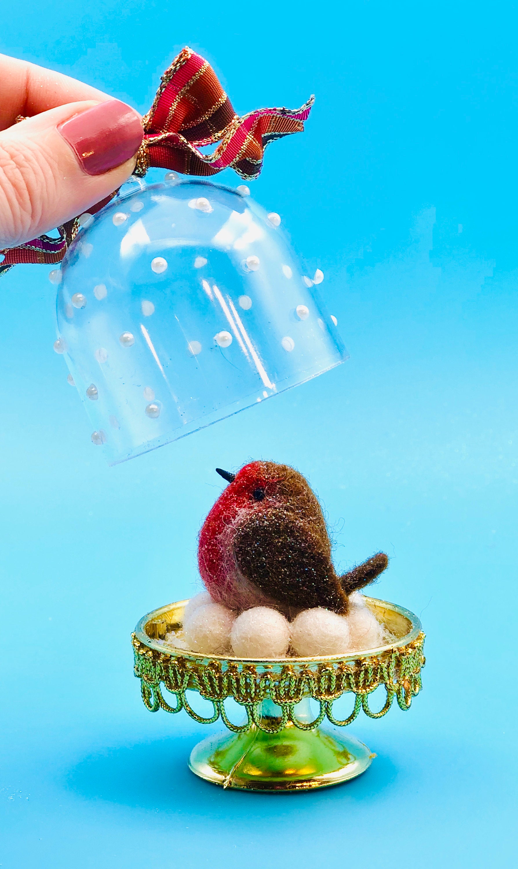Robins in Miniature Domes Kit - Etsy