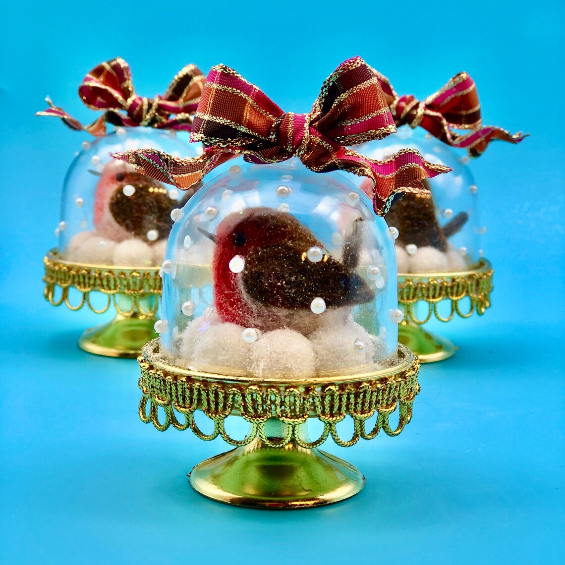 Robins in Miniature Domes Kit - Etsy UK