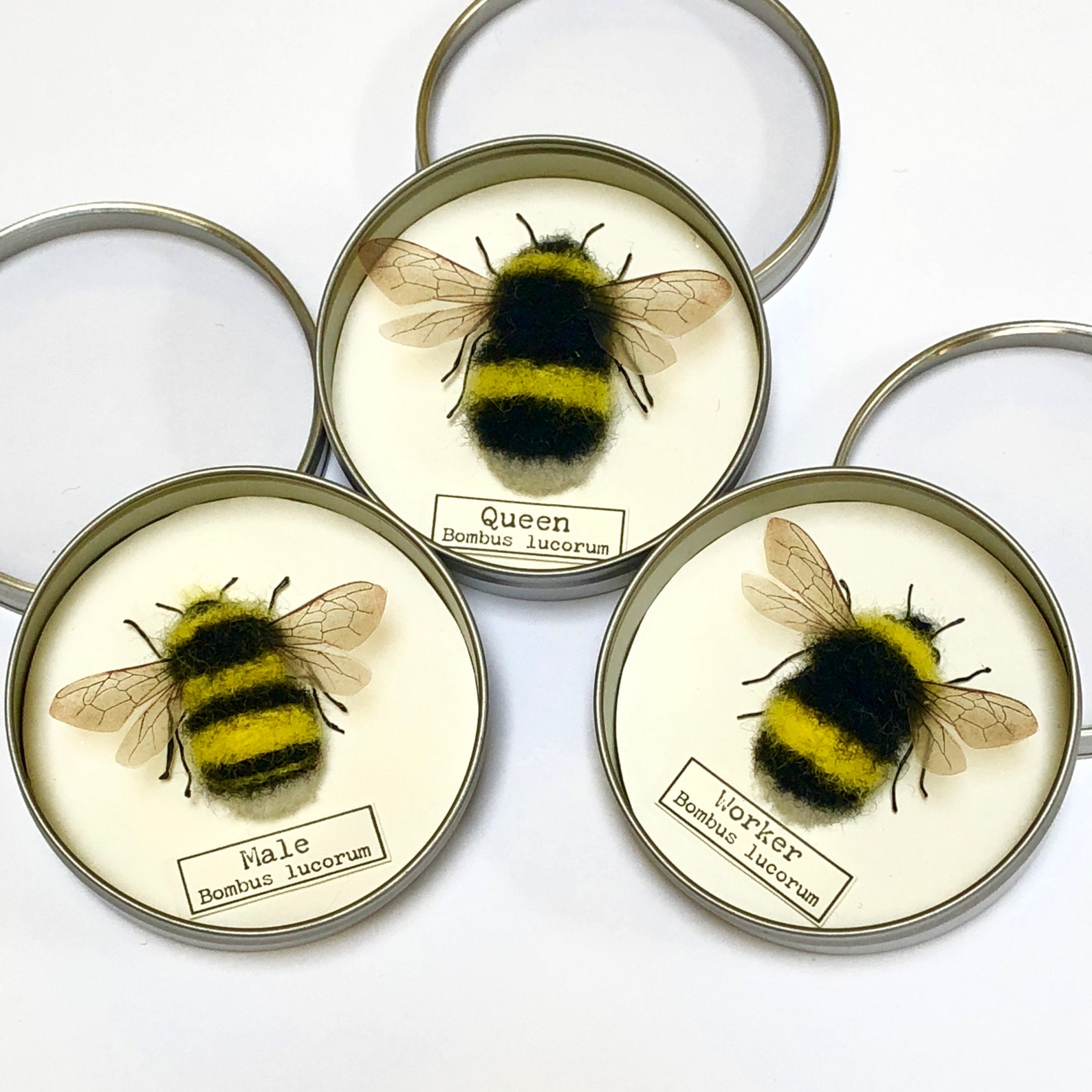 Needle Felt Bumblebee Collection Kit - Etsy