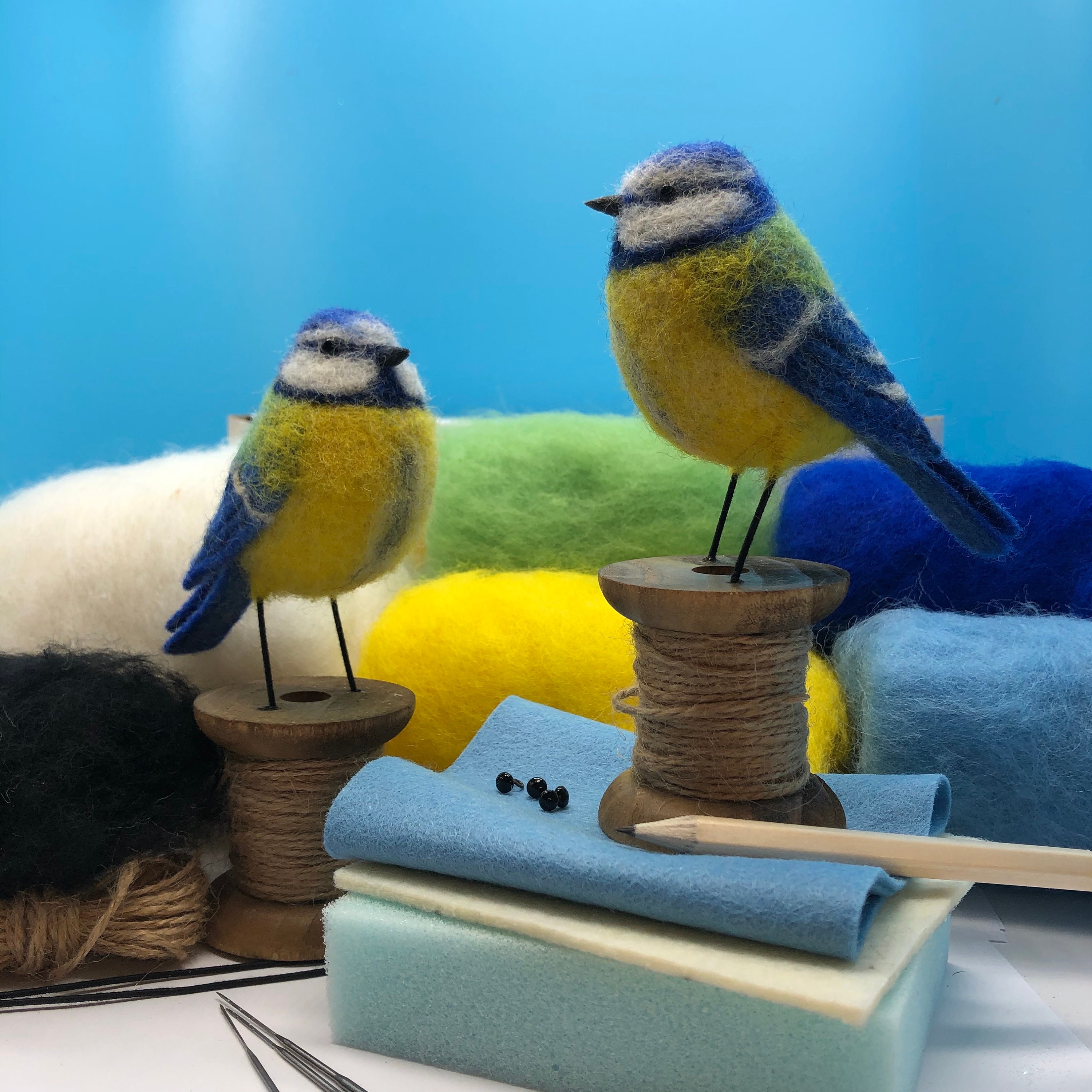Felt and Dandy Blue Tit Needle Felting Kit | Etsy