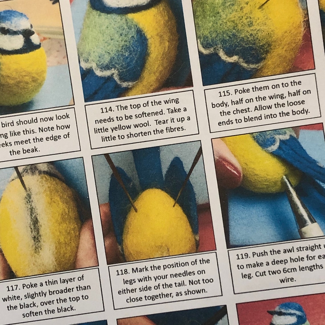 Blue Tit Pdf Instruction Download | Etsy