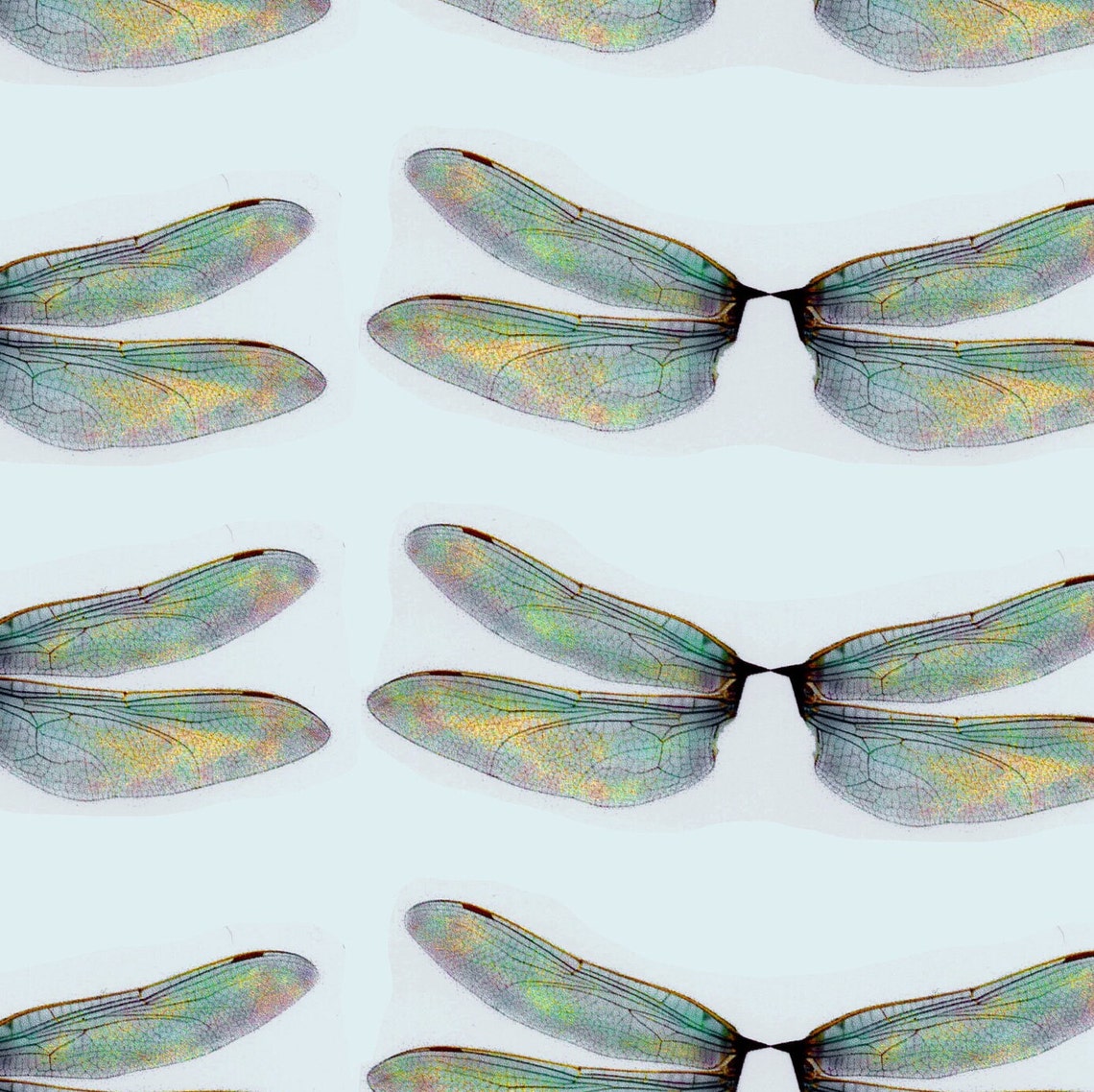 Dragonfly Wing Download for Home Printing - Etsy