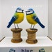 Blue Tit Pdf Instruction Download - Etsy
