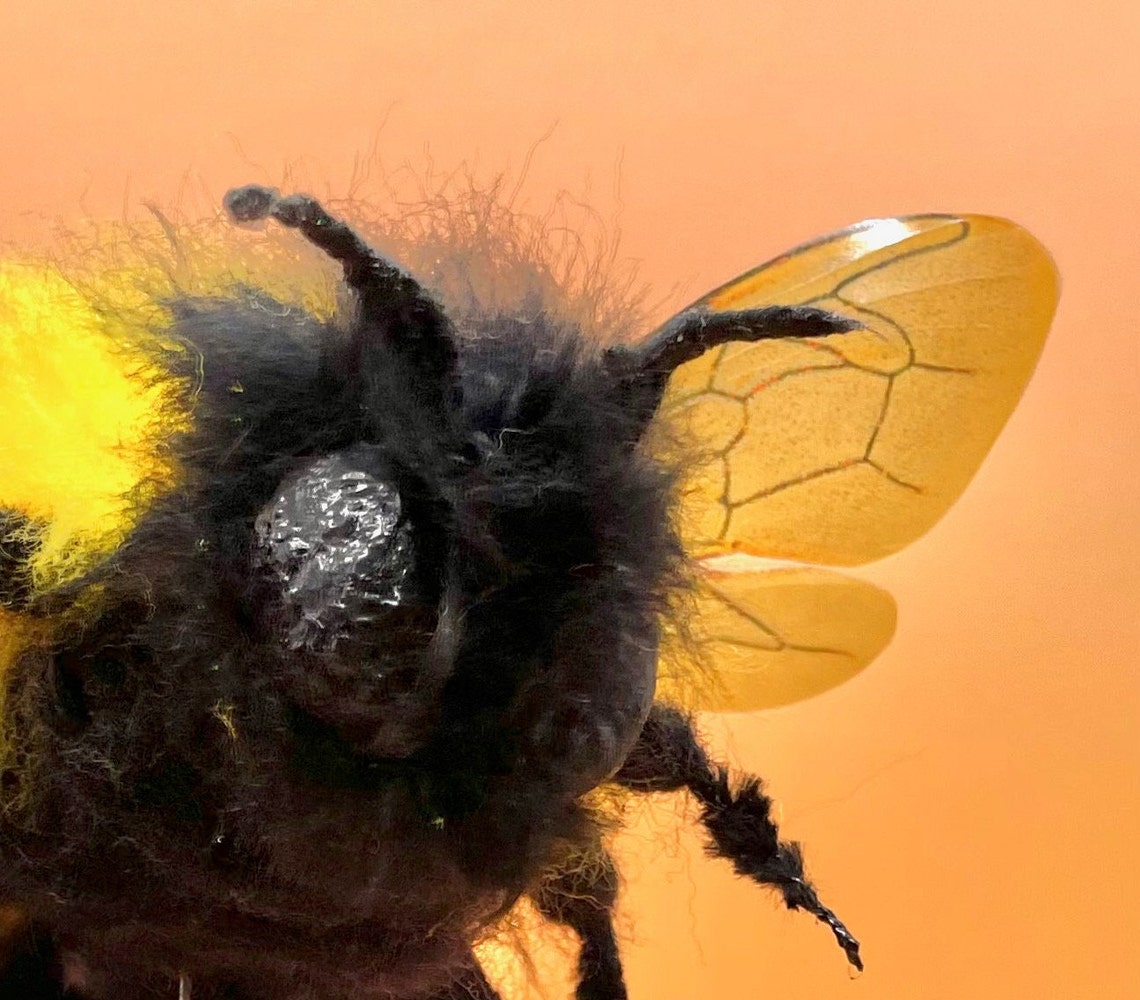 Extra Large Bee Wings - Etsy