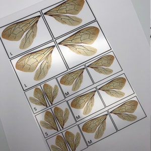Assorted Size Wings - Etsy UK