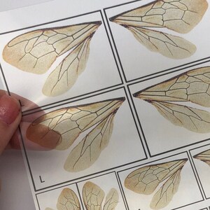 Assorted Size Wings - Etsy UK
