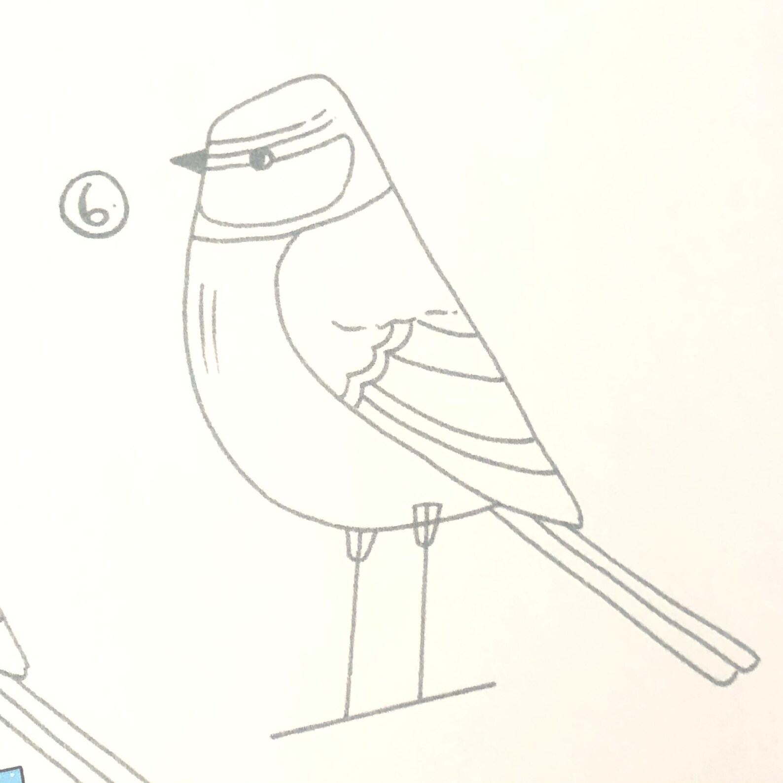 Blue Tit Pdf Instruction Download - Etsy