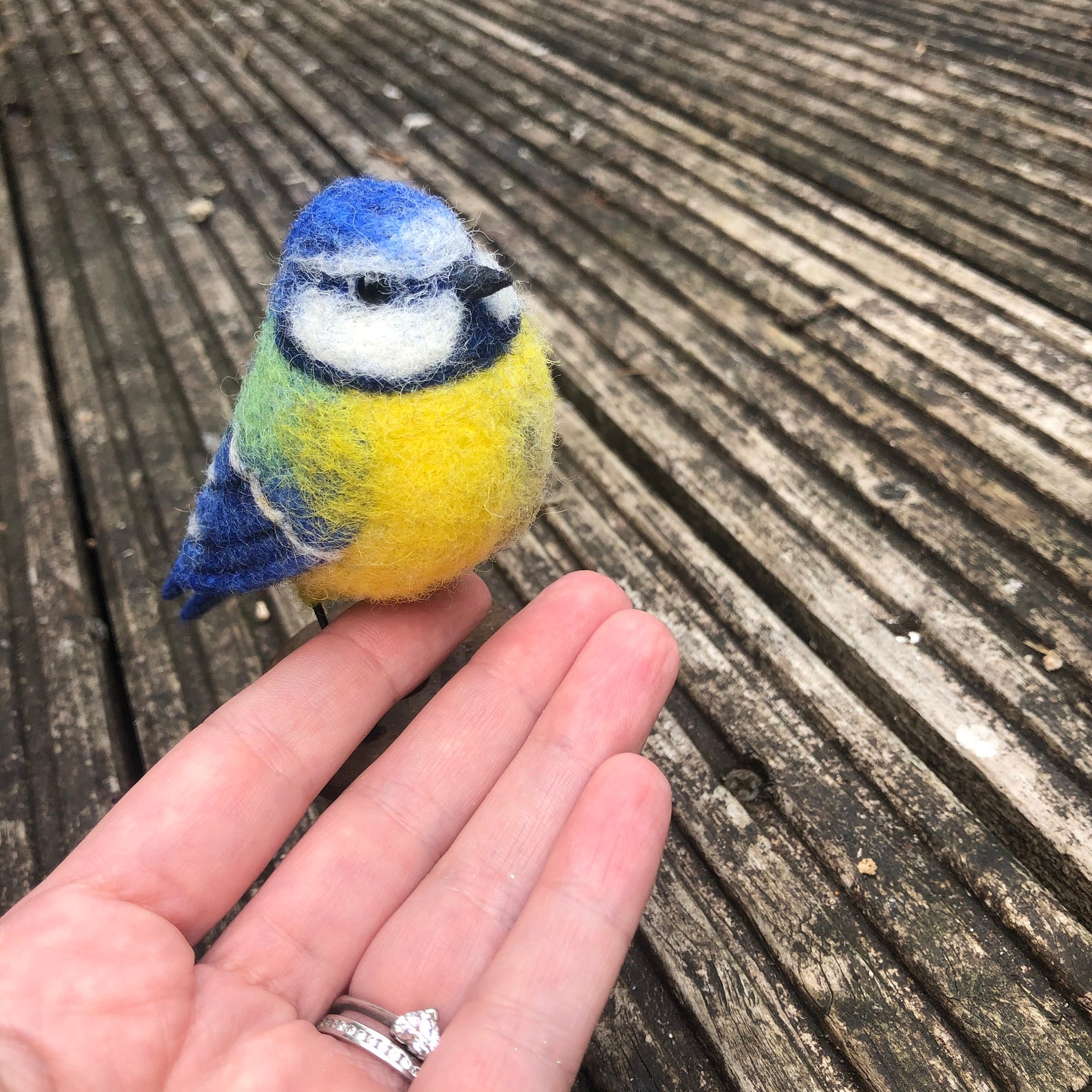 Felt and Dandy Blue Tit Needle Felting Kit | Etsy