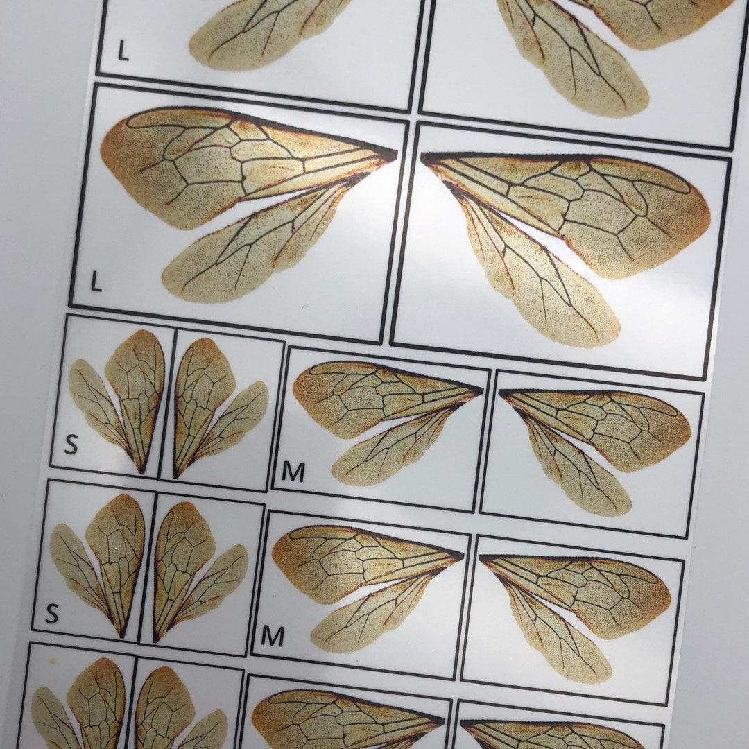 Assorted Size Wings - Etsy UK