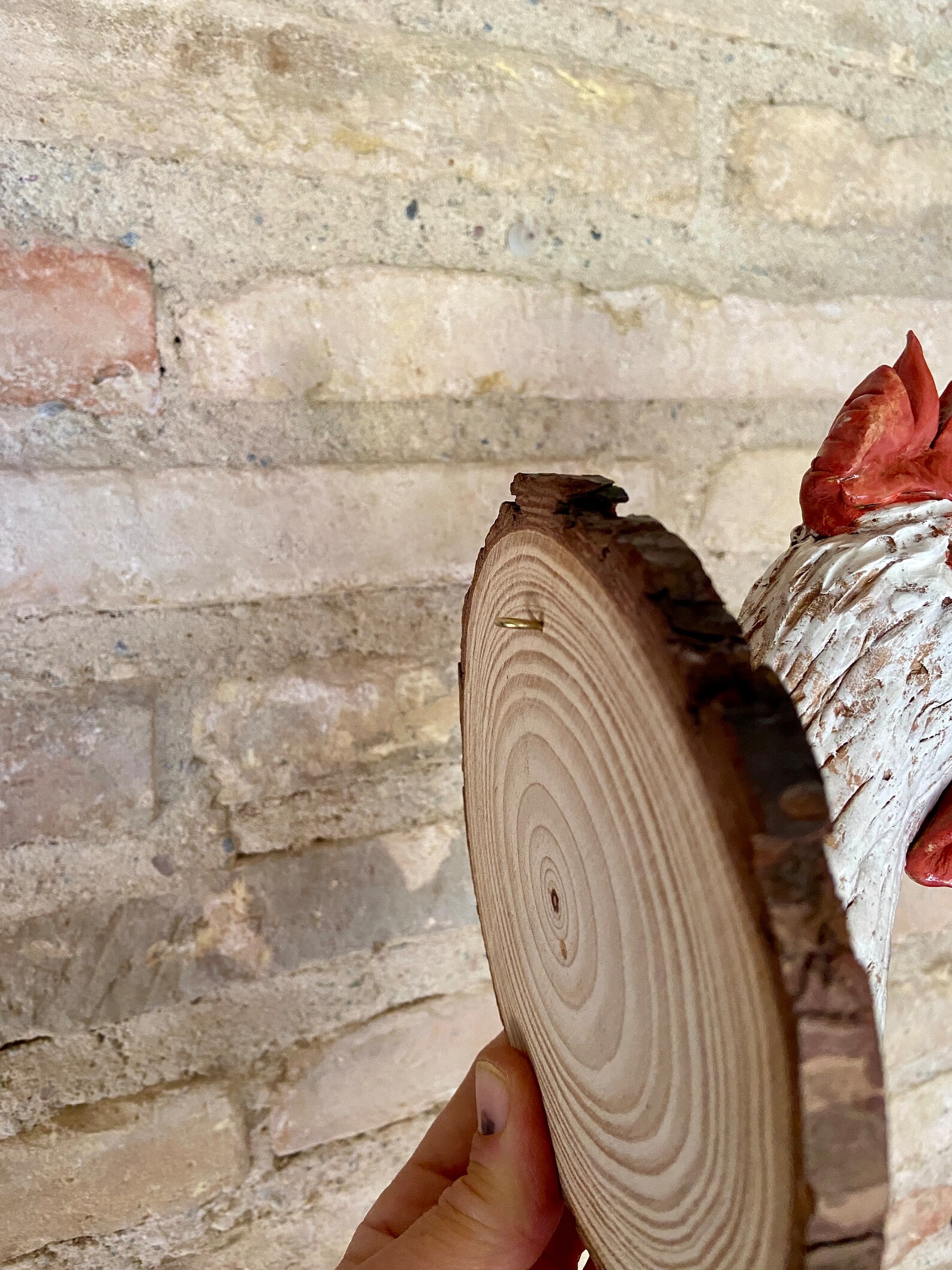 Fake Taxidermy Rooster Head, Rooster Head, Paper Mache Rooster, Rooster ...