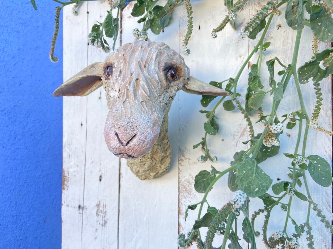 Fake Sheep Head Taxidermy 19 Cm Height Sheep Head - Etsy