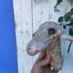 Fake Sheep Head Taxidermy 19 Cm Height Sheep Head - Etsy