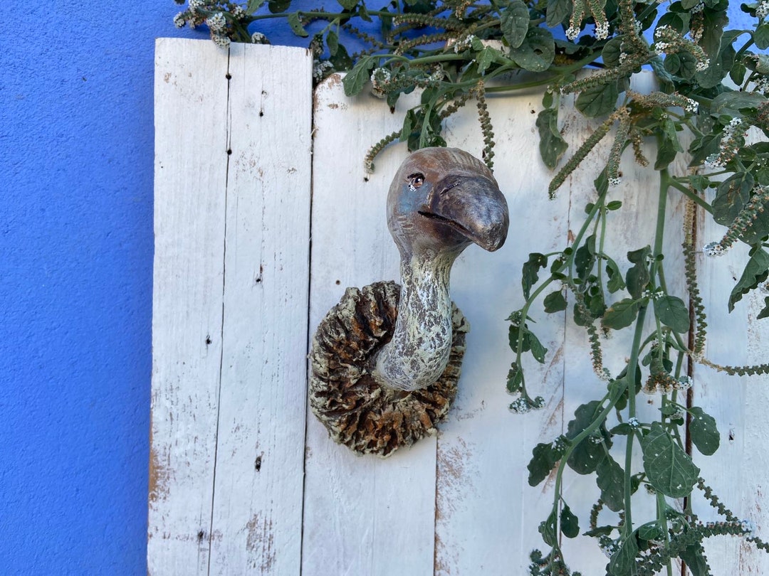 Vulture Head Sculpture Fake Taxidermy Vulture Fake Trophy - Etsy