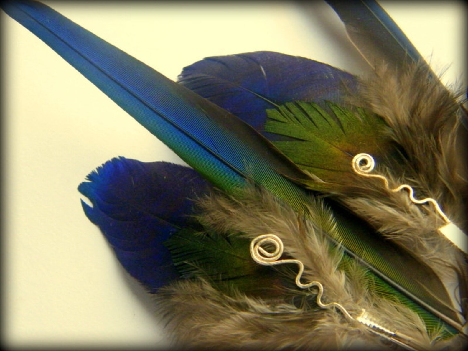 Feather Ear Cuff With Rare Unique Monal Feathers Blue Magic Bird - Etsy