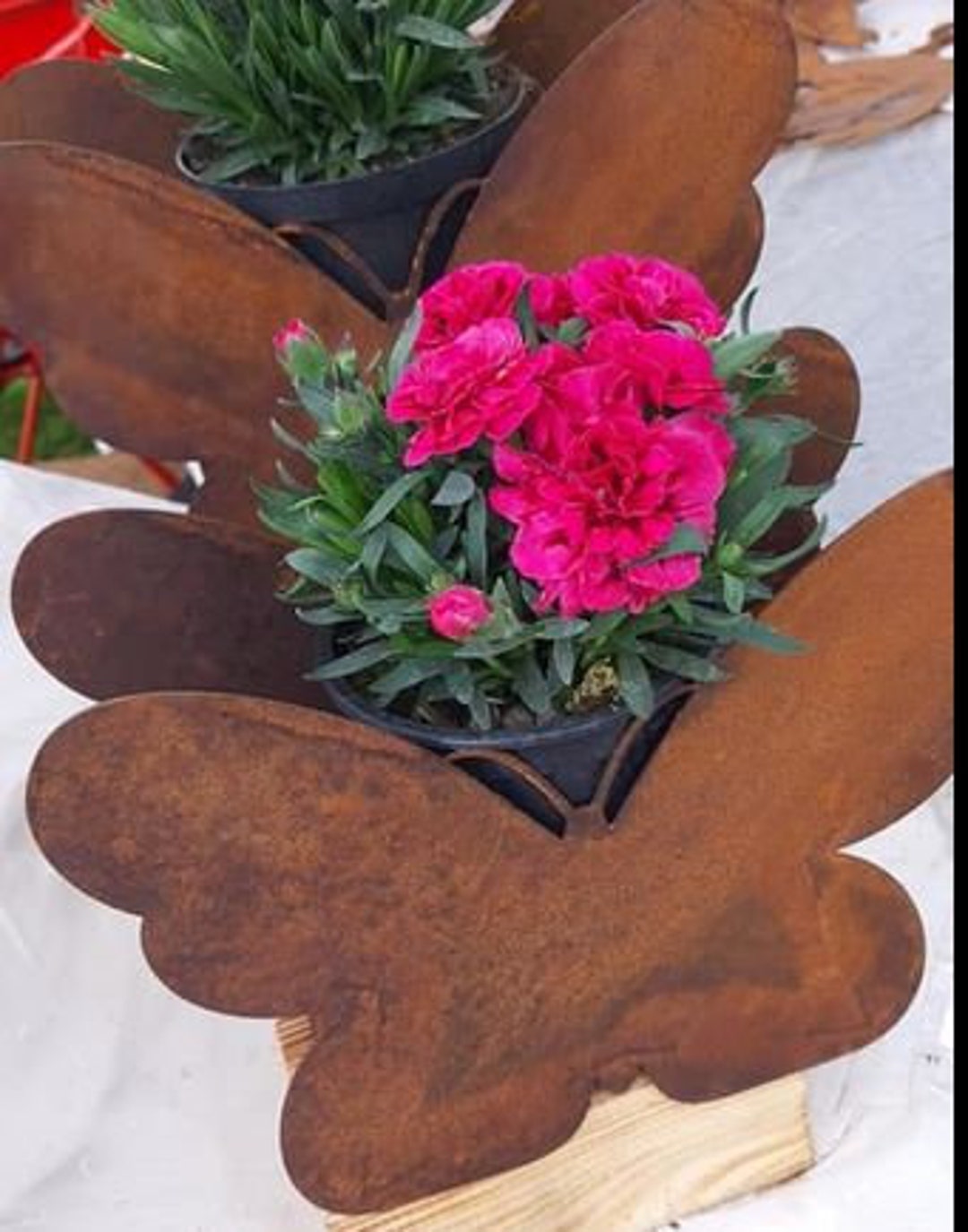 Patina Plant Pot "butterfly" - Etsy