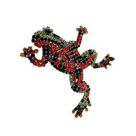 Fire Bellied Toad Brooch / Amphibian Jewelry / von Wa… - Gem