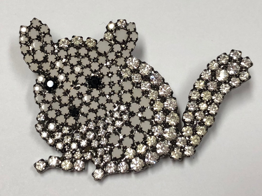 Rhinestone Chinchilla Pin - Cutest Chin Brooch - Exotic Pet - Etsy