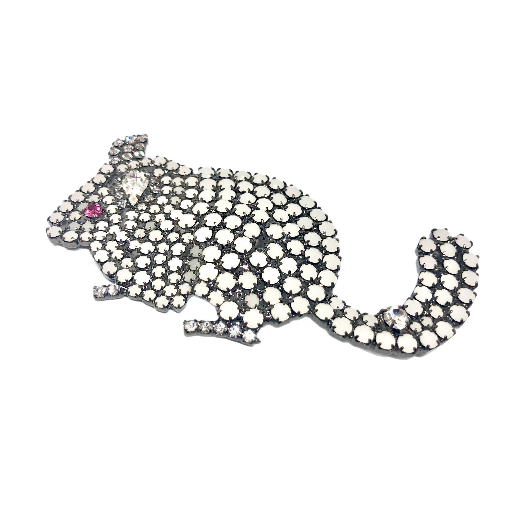 Albino Chinchilla Pin - White Chin Brooch - Exotic Pet - Etsy