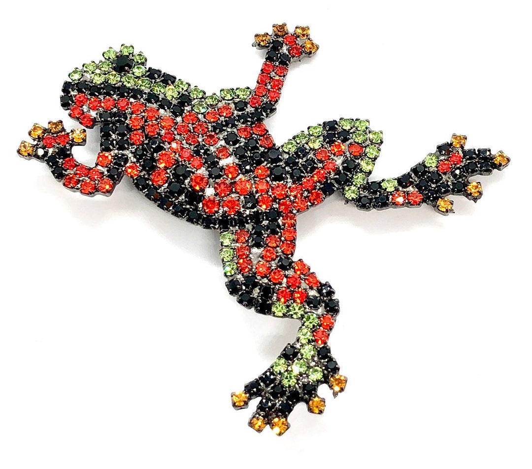 Fire Belly Toad Pin - Dazzling Colors - Unique Exotic Amphibian Brooch ...