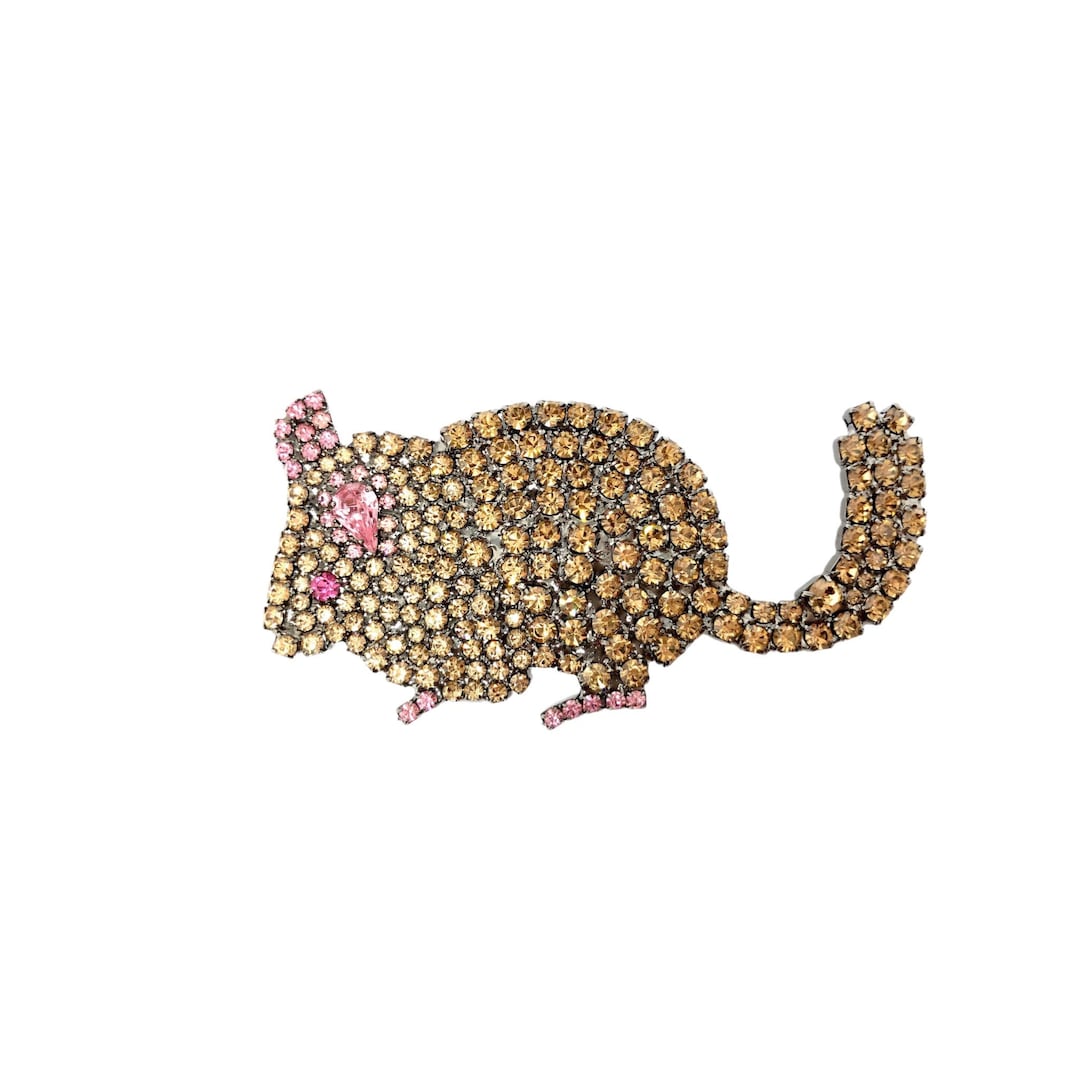 Beige Chinchilla Pin - Adorable Chin Brooch - Exotic Pet - Etsy