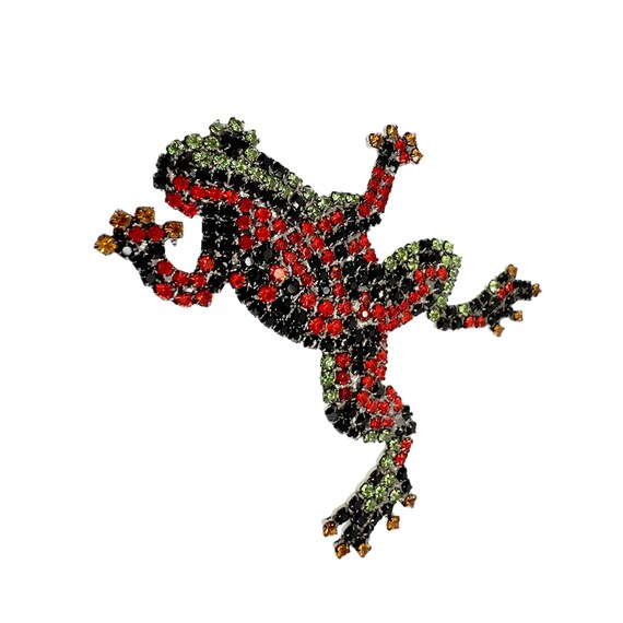 Fire Bellied Toad Brooch / Amphibian Jewelry / von Wa… - Gem