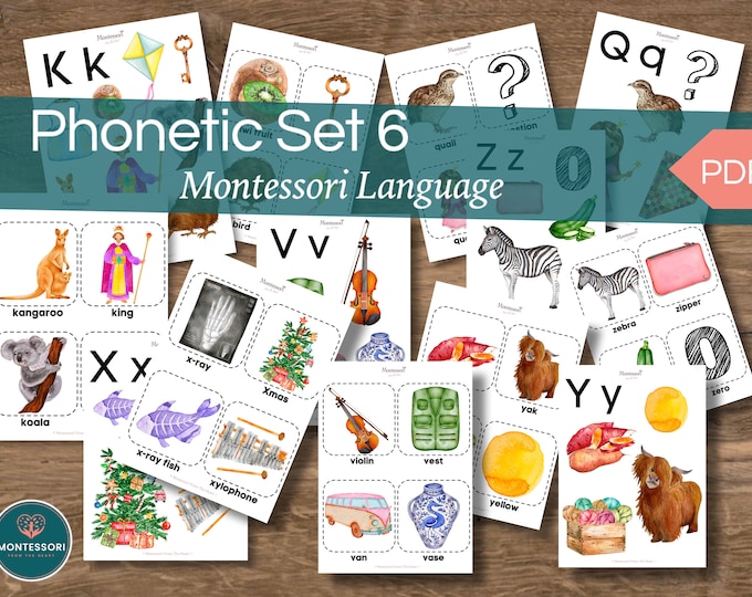 Phonics Sound & Picture Sorting - Montessori Language Activity (digital ...