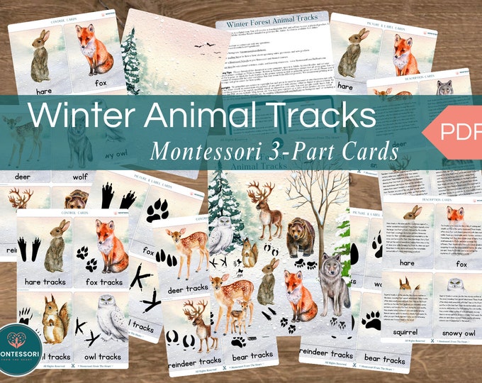 Winter Woodland Animal Tracks Flashcards. Montessori Winter Printable ...