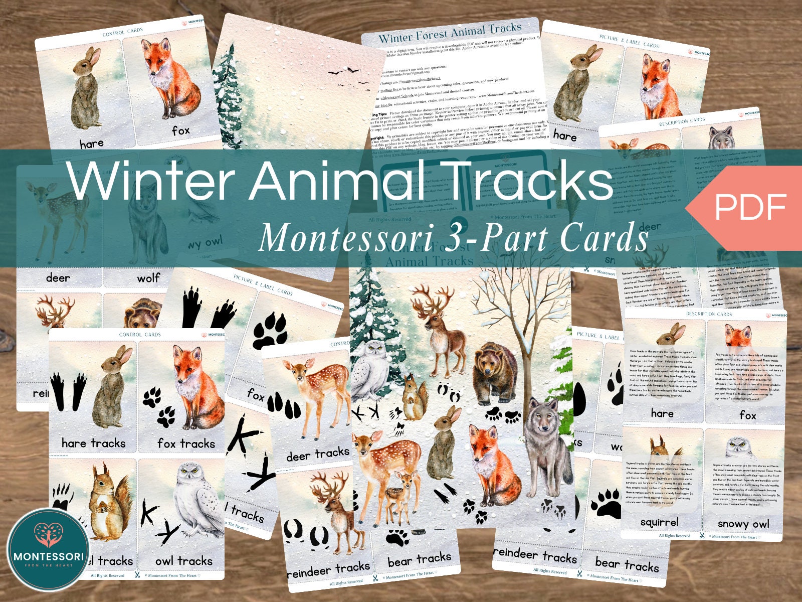 Winter Woodland Preschool Montessori Watercolor Forest Animal Tracks 3 ...