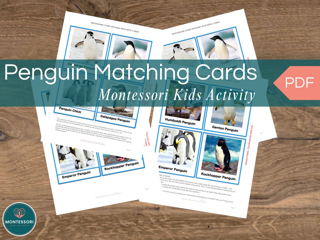 Penguin Printable Montessori Kids Activity 4-page Types of Penguins 3 ...