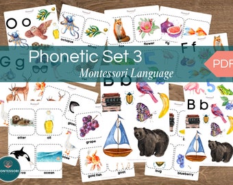 Montessori Language Phonetic Set 6 Watercolor Cards Sound Games I SPY ...