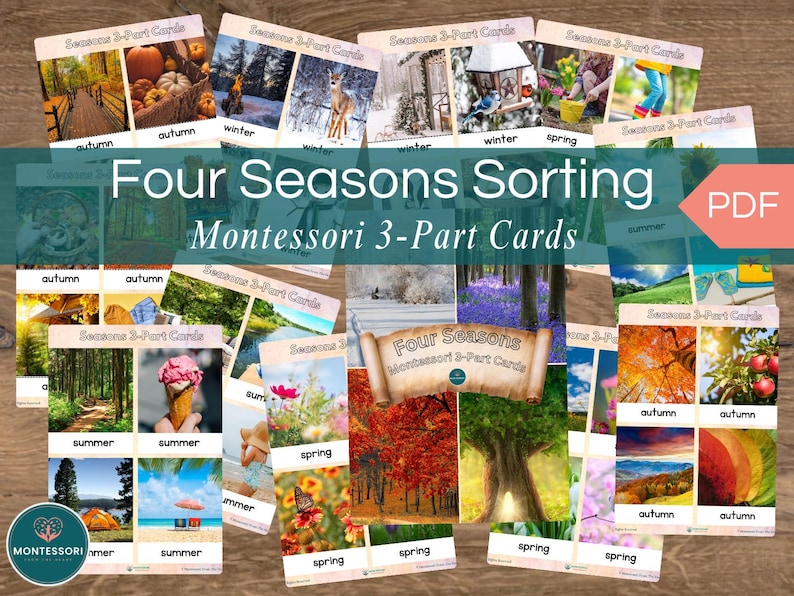 Montessori Sorting Activity for Kids, 25-page 3-part Cards, Four ...
