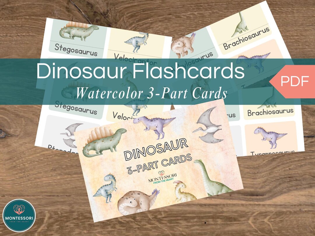 Montessori Dinosaur 3-part Watercolor Flashcards (digital Download) - Etsy
