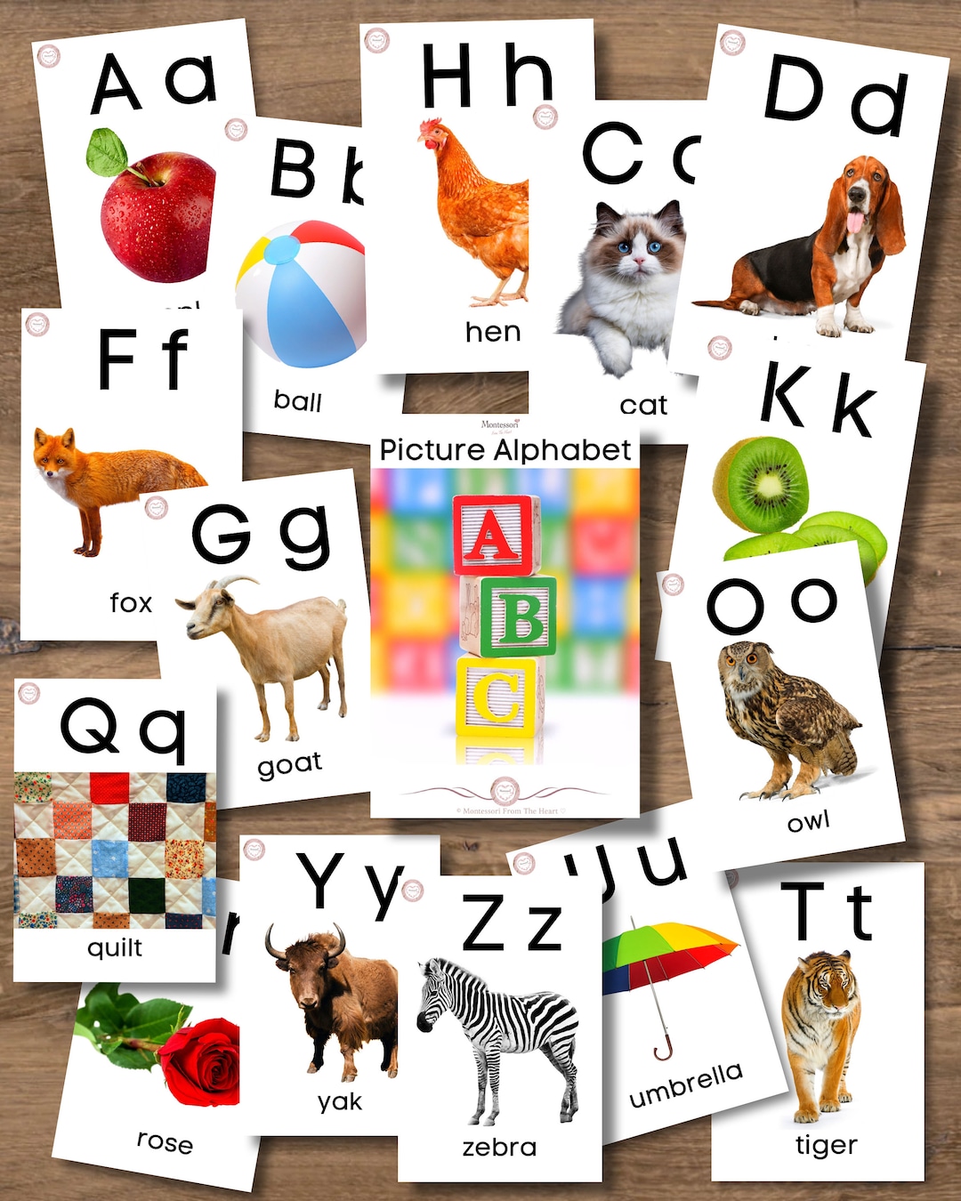 ABC in Pictures Alphabet Cards for Toddlers, Preschoolers ...
