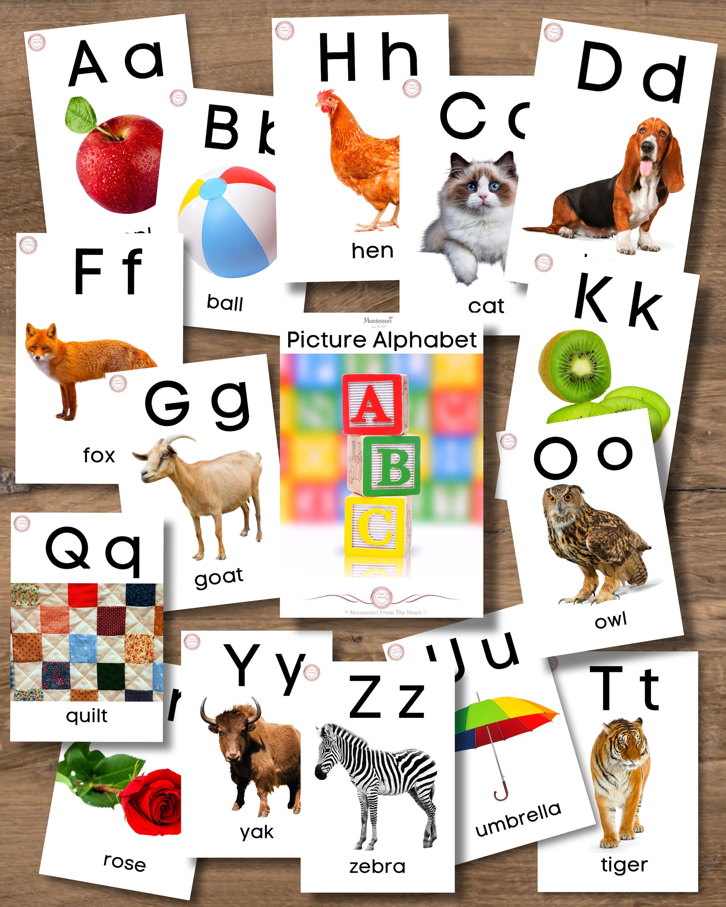 ABC in Pictures Alphabet Cards for Toddlers, Preschoolers ...