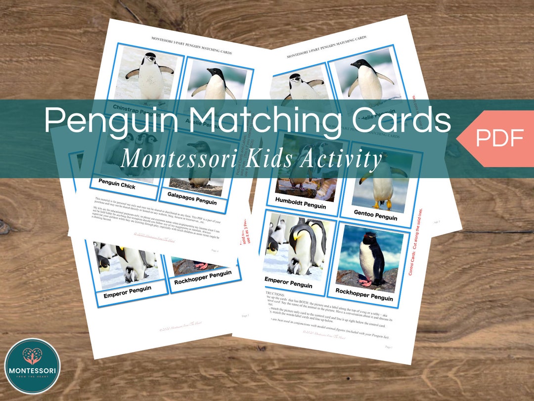 Penguin Printable Montessori Kids Activity 4-page Types of Penguins 3 ...