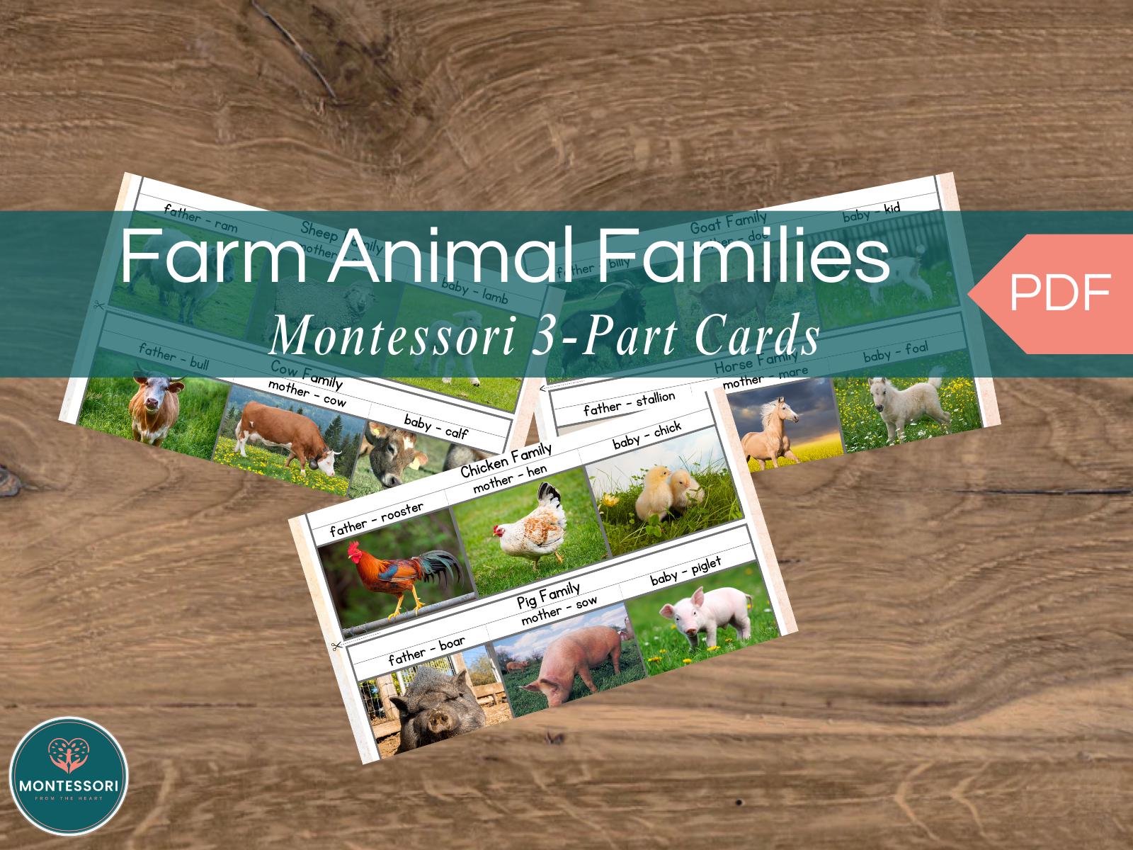 Montessori Cultural Work Farm Animal Families Printable Kids Activity ...
