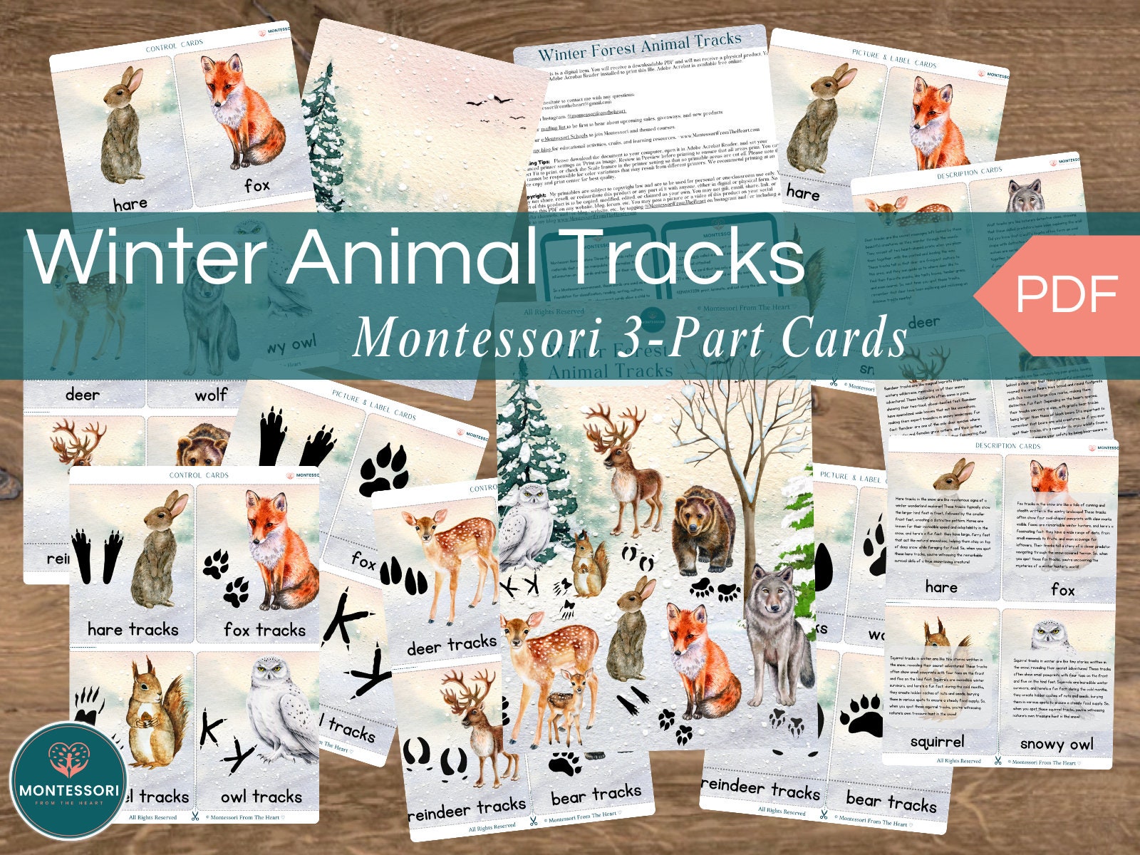 Winter Woodland Preschool Montessori Watercolor Forest Animal Tracks 3 ...