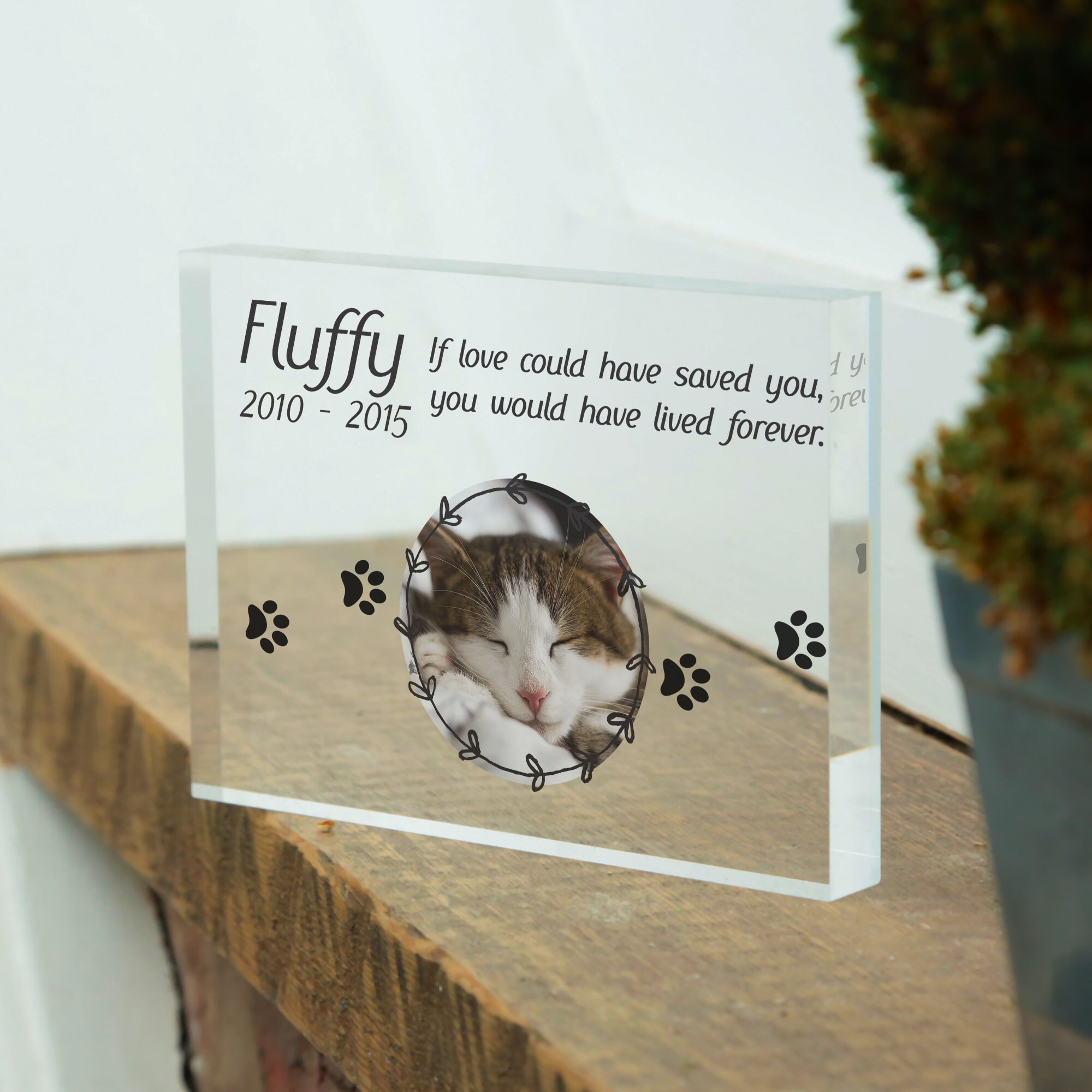 Cat Memorial Frame Pet Memorial Frame Pet Loss Gift Pet | Etsy