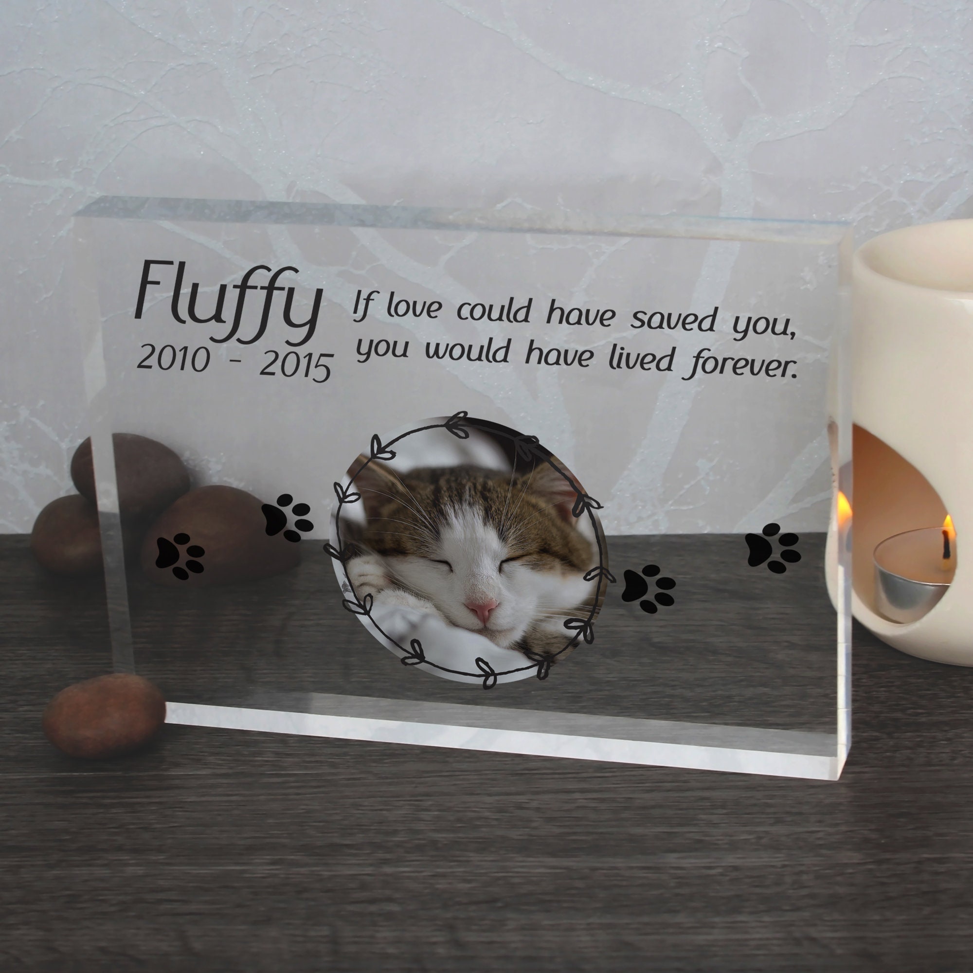 Cat Memorial Frame Pet Memorial Frame Pet Loss Gift Pet | Etsy