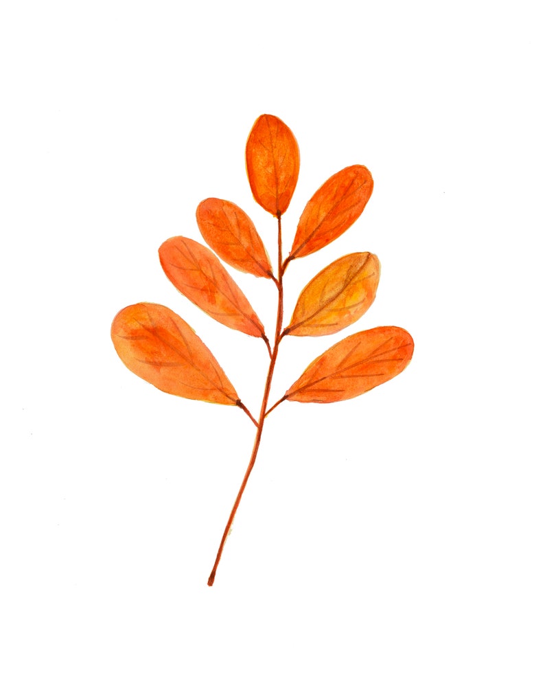 Printable Fall Leaf Prints 4x6 Autumn Leaves Print Set of - Etsy