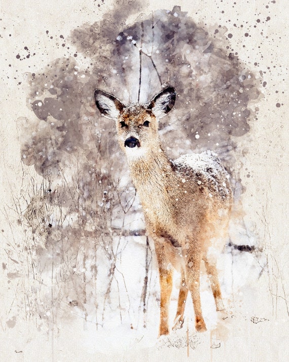 Doe Watercolor