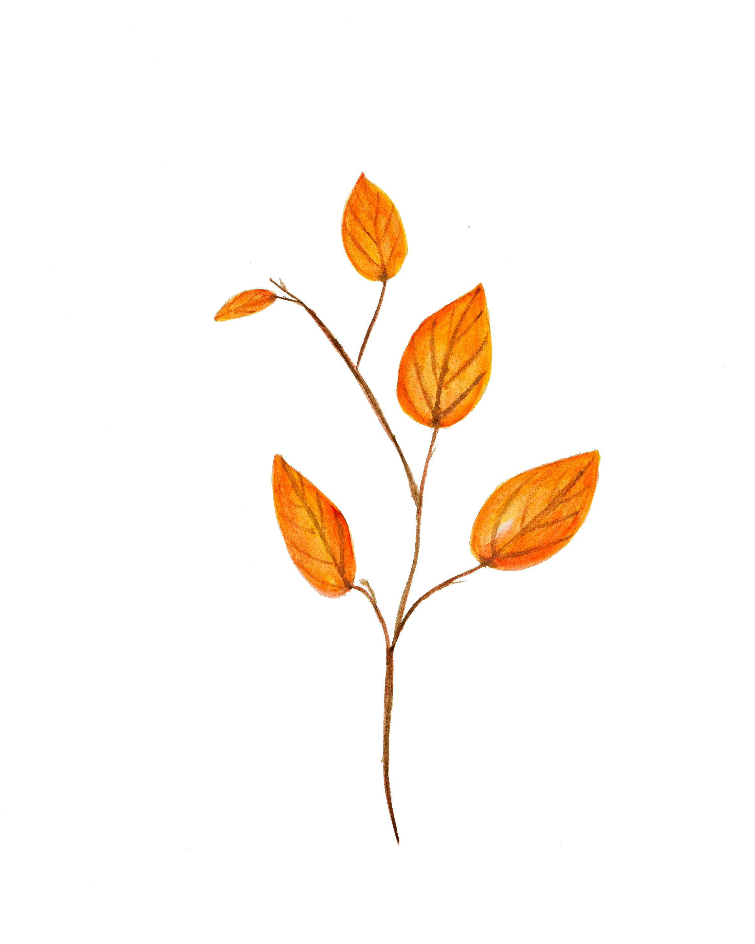 Orange Leaves Printable Autumn Leaves Print Set of Three | Etsy